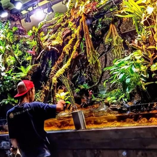 Jual Maintenance tank 70cm - 100cm aquarium aquascape paludarium - Kota ...