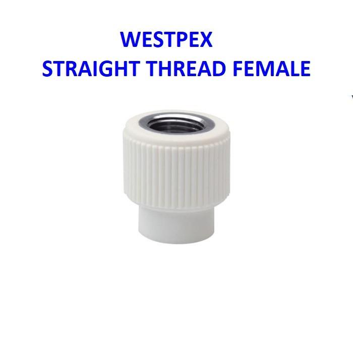 Jual WESTPEX PPR Straight Thread FEMALE S20x1/2F SOK DRAT DALAM PP-R ...
