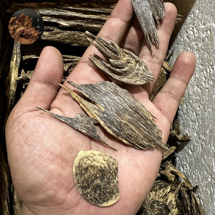 Jual Kayu gaharu kynam triple super king 1 kg - malino Kalimantan ...