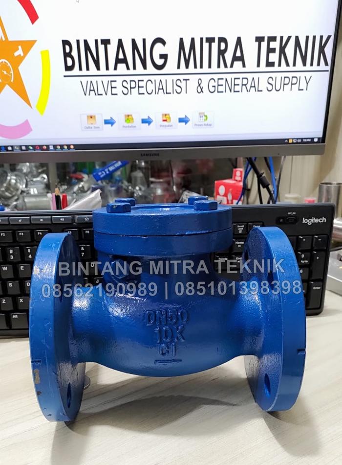 Jual SWING CHECK VALVE TOZEN DN50 10K CAST IRON 2" FLANGE - Kota Bandung - BINTANG MITRA TEKNIK ...