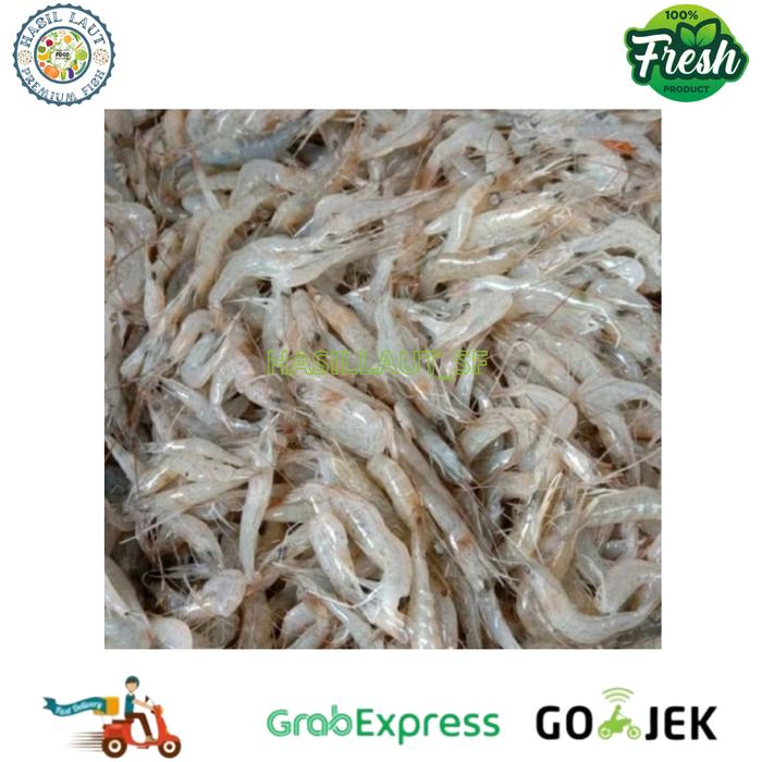 Jual udang rebon segar 250gram Udang peci rebon - 1/2 kg - Kota ...