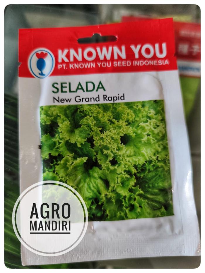 Jual Benih Biji Bibit Selada New Grand Rapid isi 5 gram Known You Seed - Kota Surabaya - Agro ...