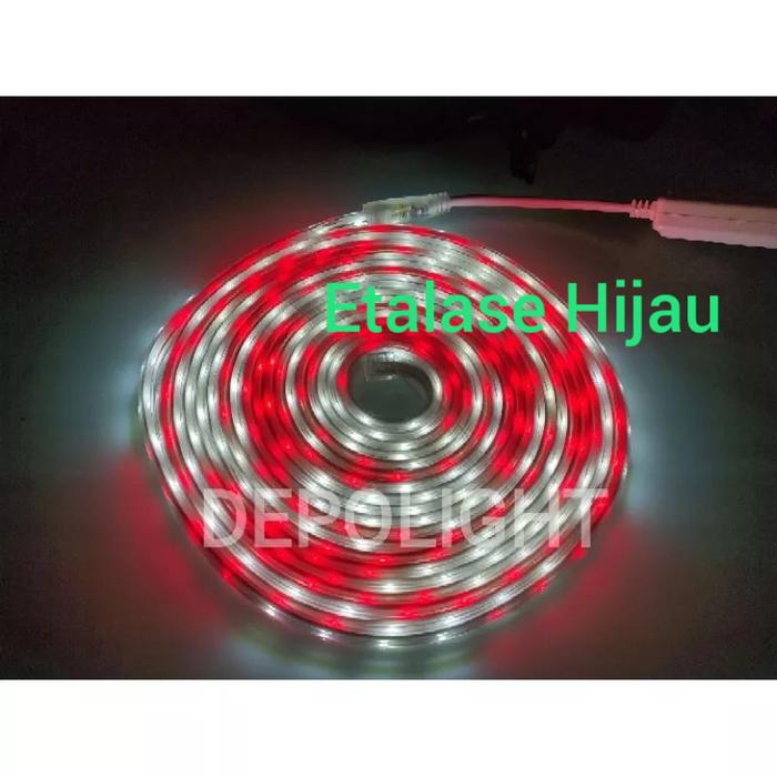 Jual Lampu LED 17 Agustusan Merah Putih Strip Selang 10Meter Lampu Hias ...