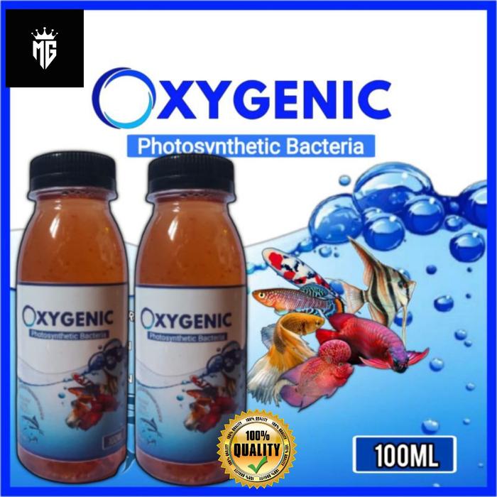 Jual Oxygenic Bakteri Starter 100ml Probiotic Kolam Ikan Aquarium ...
