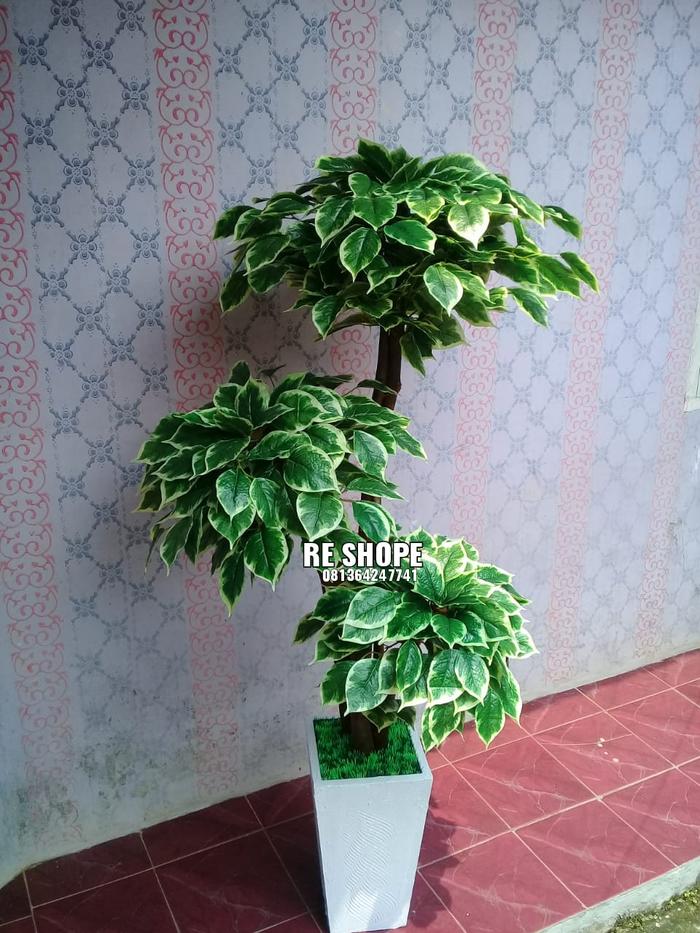 Jual Bunga Plastik Pohon Bonsai Daun Simfu Warna Hijau Tinggi 170 cm ...