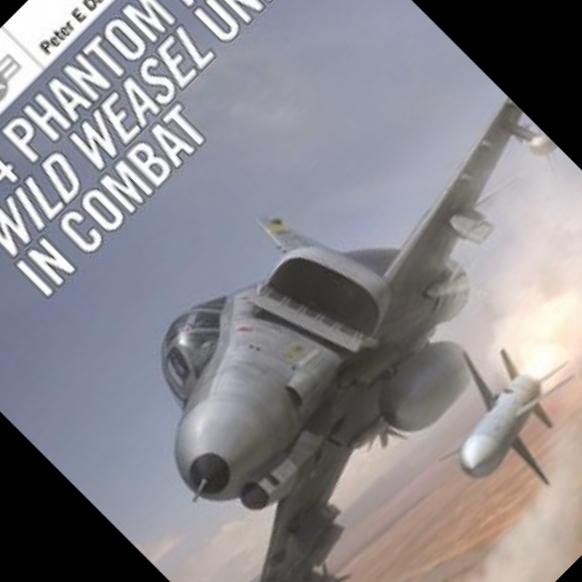 Jual F4 Phantom II Wild - Peter Davies (ORIGINAL ENGLISH VERSION ...