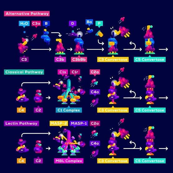 Jual [buku Import] Immune By Philipp Dettmer Original 100% Kurzgesagt ...