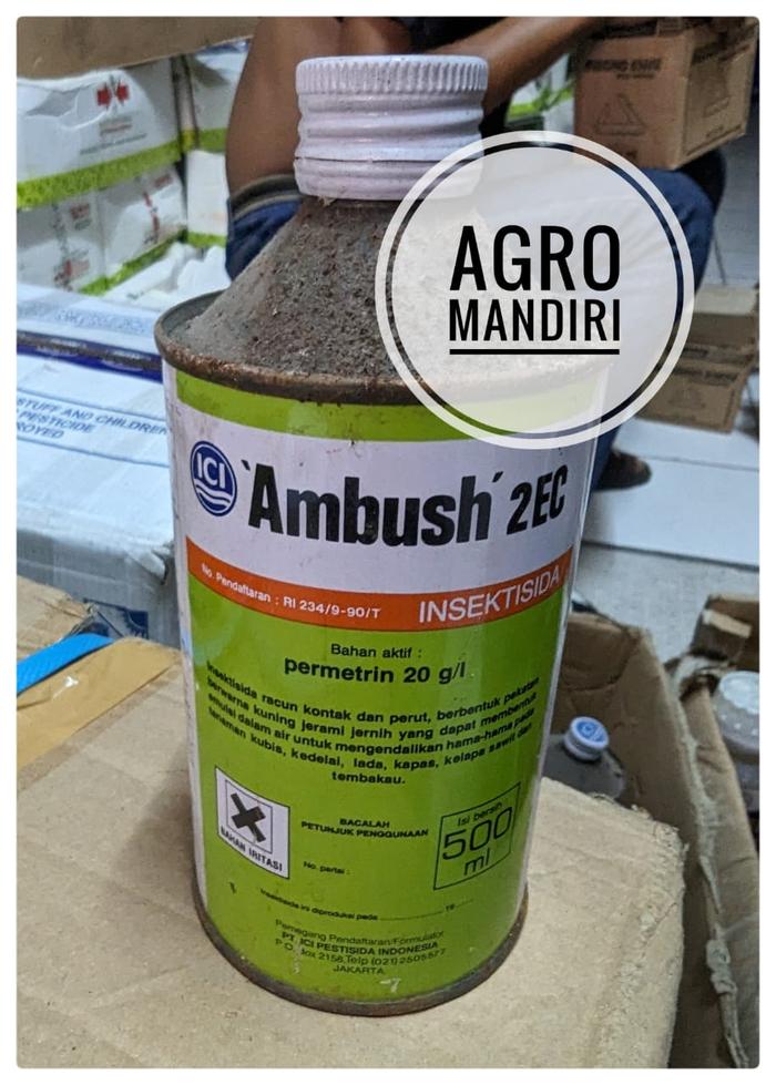 Jual Ambush 2EC Insektisida Pembasmi Ulat Kumbang dan Kutu Kebul - Kota ...