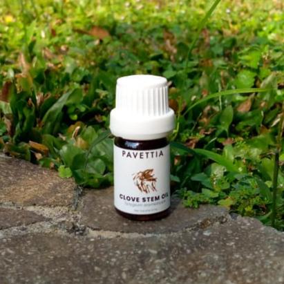 Jual 5 ml sampel- minyak gagang cengkeh / clove stem (Syzygium ...