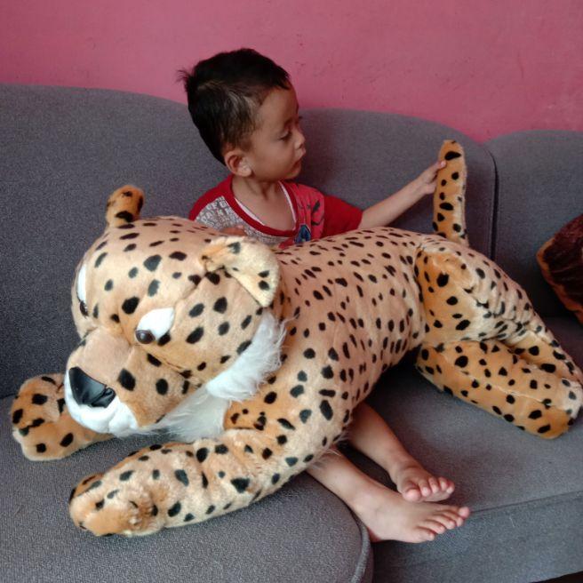 Jual Boneka Kucing Macan Tutul Singa Harimau Belang Size Jumbo 1 Meter ...