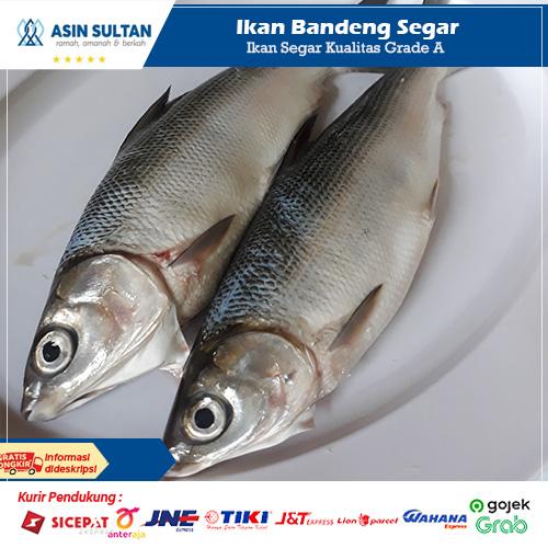 Jual Bandeng Ikan Segar (bersih sisik) 500gr isi 1-2ekor/Ikan Bandeng ...