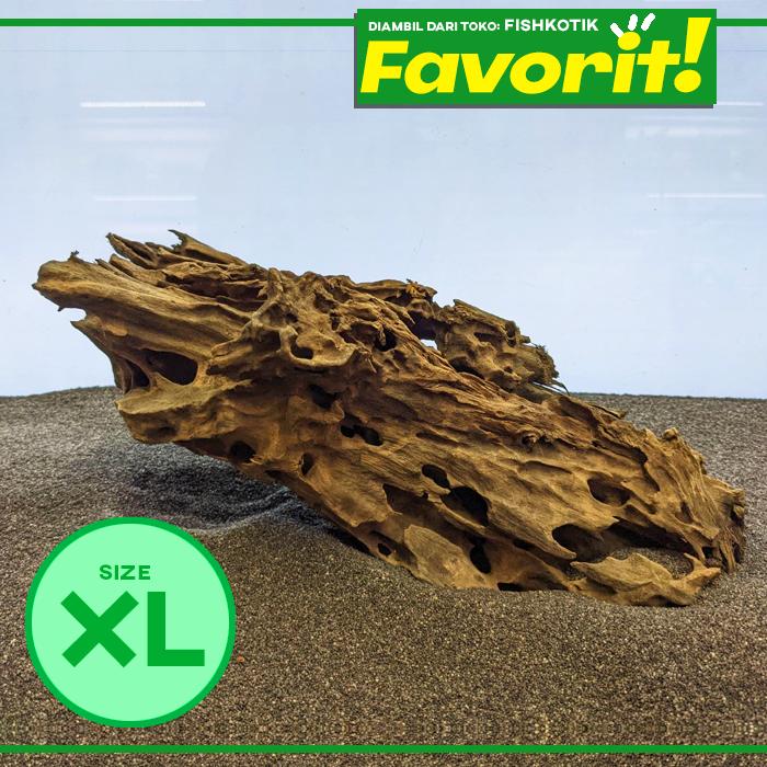 Jual Kayu Rentek (XL) Driftwood Hiasan Aquarium Ikan Hias Tanaman ...