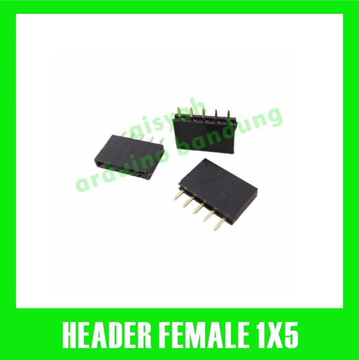 Promo Pin Head Female 1X5 Pin 5p 2.54mm single Row Header lurus 1x5p 1 ...