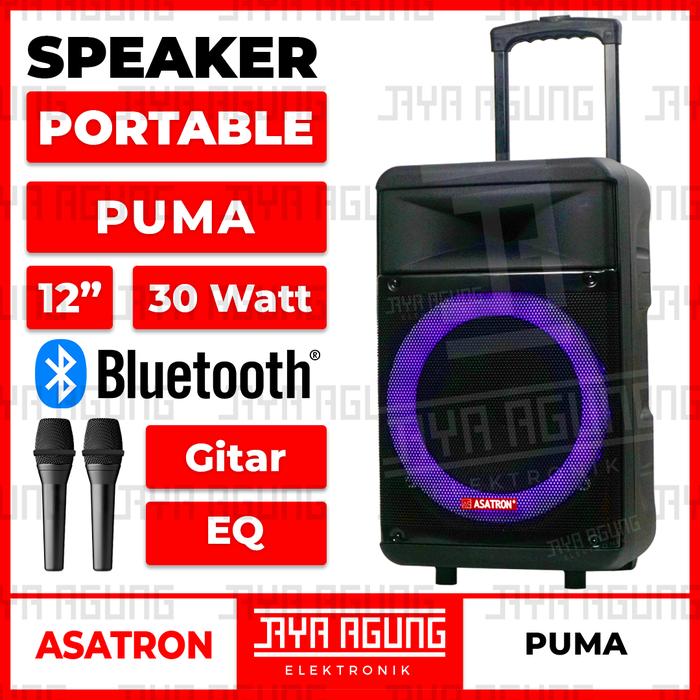 Jual Speaker Portable Bluetooth Wireless Meeting USB 12 Inch ASATRON ...