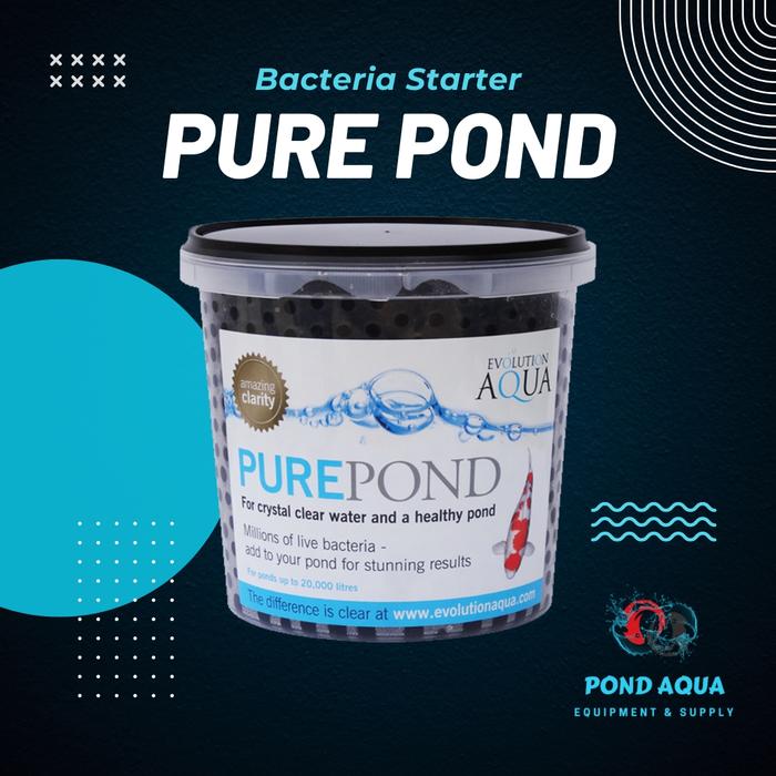 Promo Bacteria Starter Pure Pond Ball Crystal Bakteri Filter Kolam Ikan Koi - Jakarta Barat ...