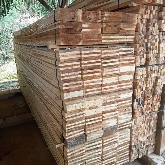 Jual papan cor 2x20x300 - Kab. Bogor - BERKAH KAYU BALAP | Tokopedia