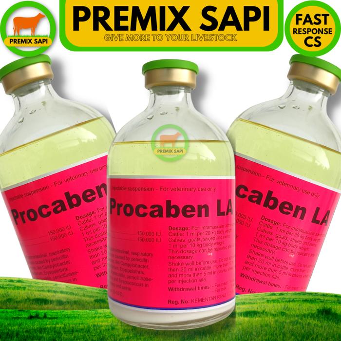 Jual PROCABEN LA pengganti Penstrep 400 Original - Kota Surabaya ...