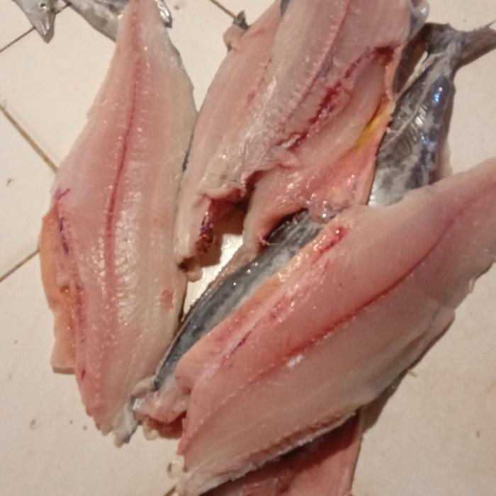Jual ikan tenggiri fillet daging - Jakarta Barat - Samudrapasar | Tokopedia