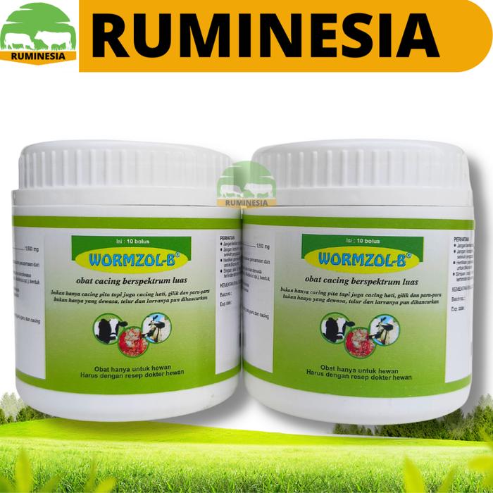 Jual WORMZOL B 1 POT (10 BOLUS) - Obat Cacing Cacingan Sapi Kerbau Kuda ...