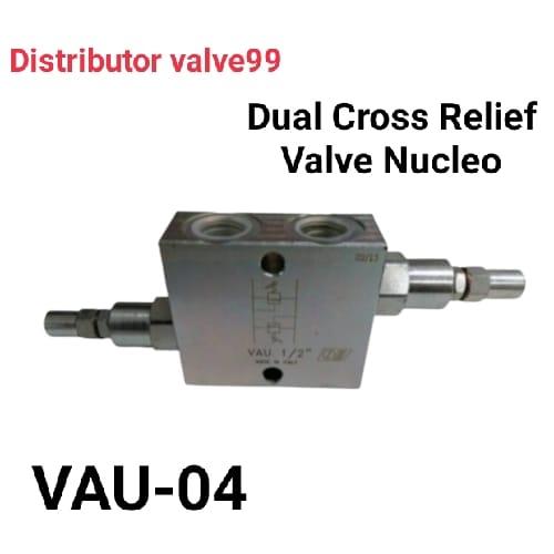 Jual DUAL CROSS RELIEF VALVE NUCLEO VAU-04 - Jakarta Barat ...