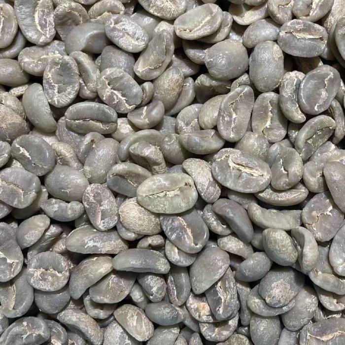 Jual Guatemala El Injerto Red Pacamara 2023 Green Beans - Jakarta Barat ...