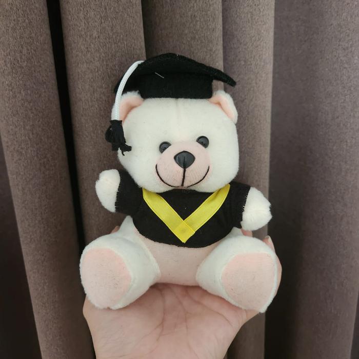 Jual boneka wisuda murah | boneka graduation | boneka beruang wisuda ...