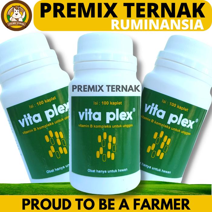 Jual VITA PLEX 100 KAPLET - Vitamin Unggas Ayam Burung Lengkap Vitaplex ...
