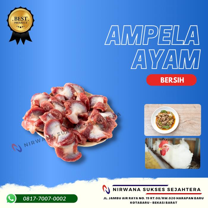 Jual AMPELA AYAM BROILER BERSIH / BROILER CHICKEN GIZZARD - Kota Bekasi ...