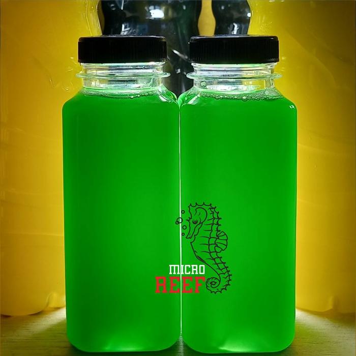 Jual Chlorella Vulgaris Murni Makanan Artemia,Rotifera,Copepoda (Air ...