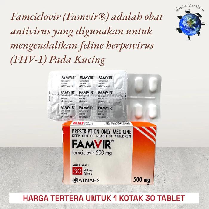 Jual Famvir Famciclovir 500mg Obat Anti Virus FHV Kucing 1 Kotak 30 ...