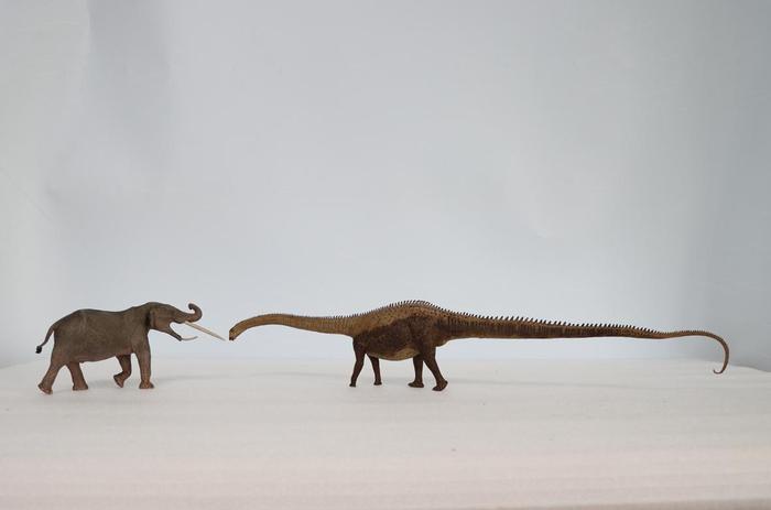 Jual FT002 Eofauna 1 40 Diplodocus Statue Diplodocidae Animal Figure ...