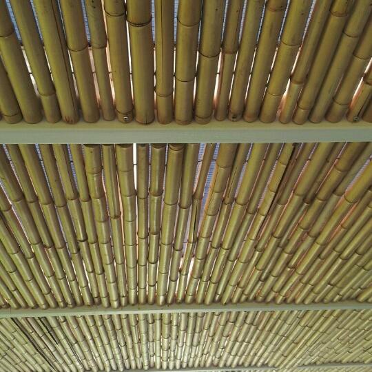 Jual Bambu Bahan Atap Dekorasi Ruang Indoor dan Outdoor Meteran - Kab ...
