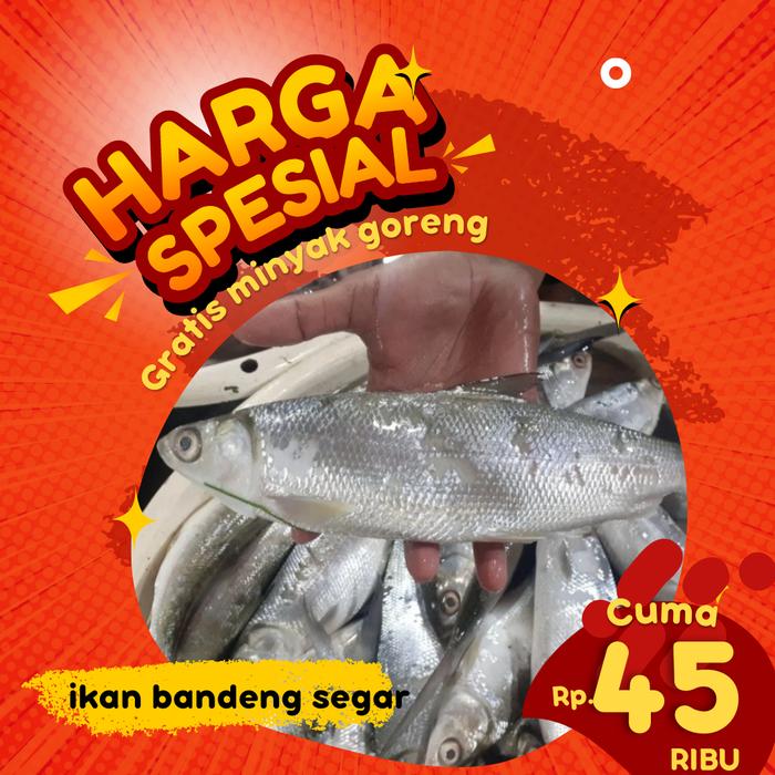 Jual ikan bandeng segar 1kg isi 2-3 - Kota Tangerang ...
