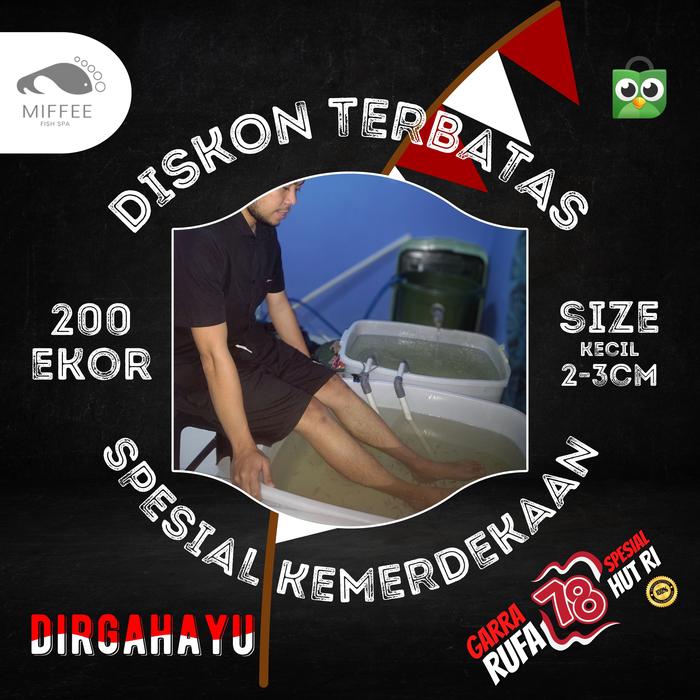 Jual 200 Ekor Garra Rufa - Ikan Terapi - Include Pack Box - Kab ...