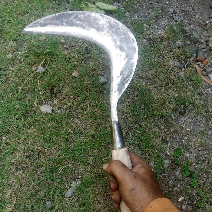 Jual sabit arit rumput baja super tajam -lebih tebal tebas ranting ...