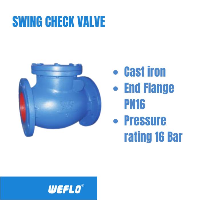 Jual Swing check valve 4" inchi WEFLO PN16 - Jakarta Pusat - GITU TEKNIK | Tokopedia