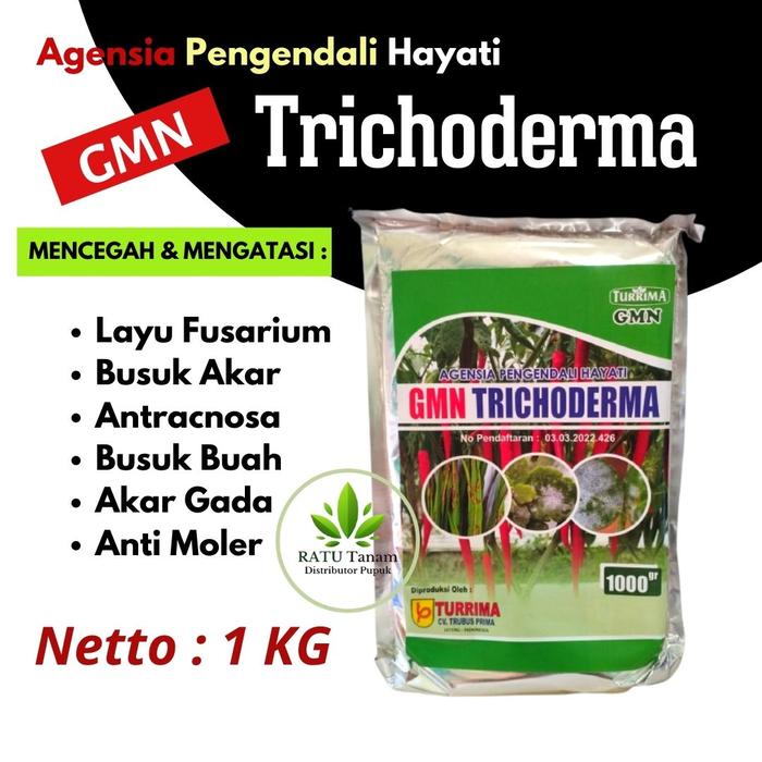 Jual Fungisida Hayati Tricoderma Harzianum, GMN Trichoderma 1KG - Kab ...