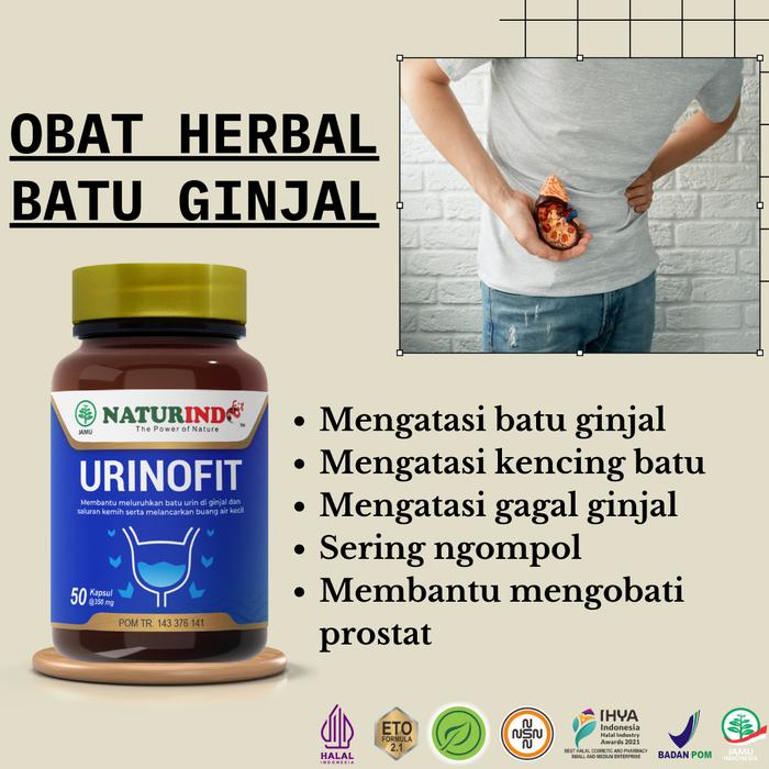 Jual Obat Herbal Batu Ginjal Radang Ginjal Prostat Sakit Pinggang Urinofit - Kota Magelang ...
