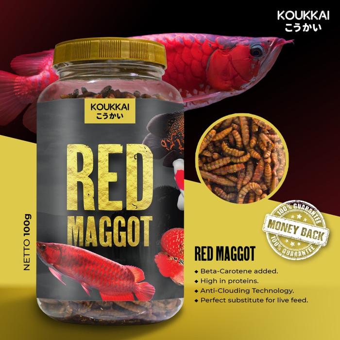 Jual Red Maggot with Beta-carotene KOUKKAI Makanan Pakan Ikan Predator ...