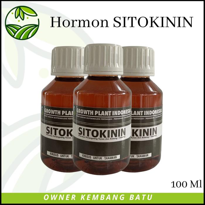 Jual ZPT Hormon SITOKININ Percepat Perumbuhan Batang Dan Daun - Kota ...