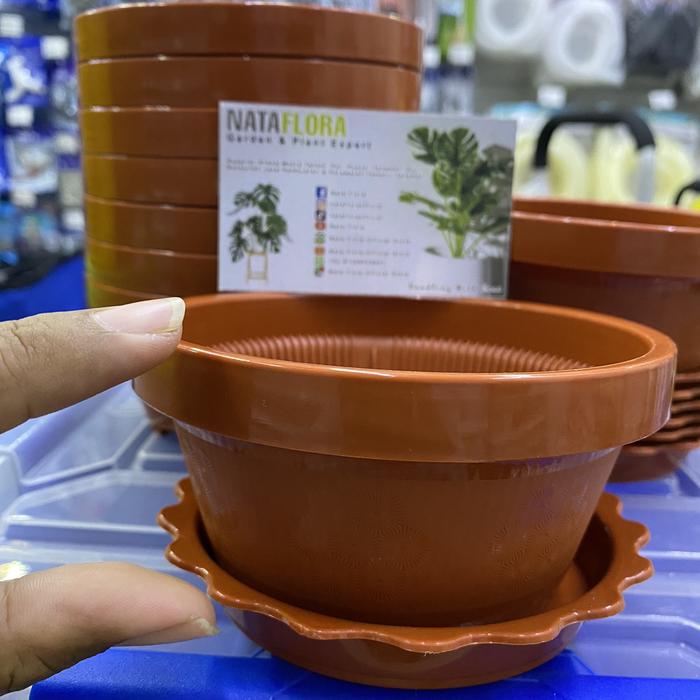 Jual pot ceper bonsai mini shito mame + tatakan - Kota Bekasi - Nata ...