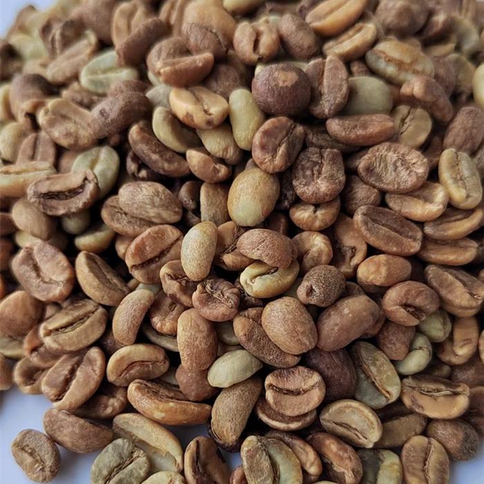 Jual Colombia El Diviso Red Bourbon 23 Green Beans - Jakarta Barat ...