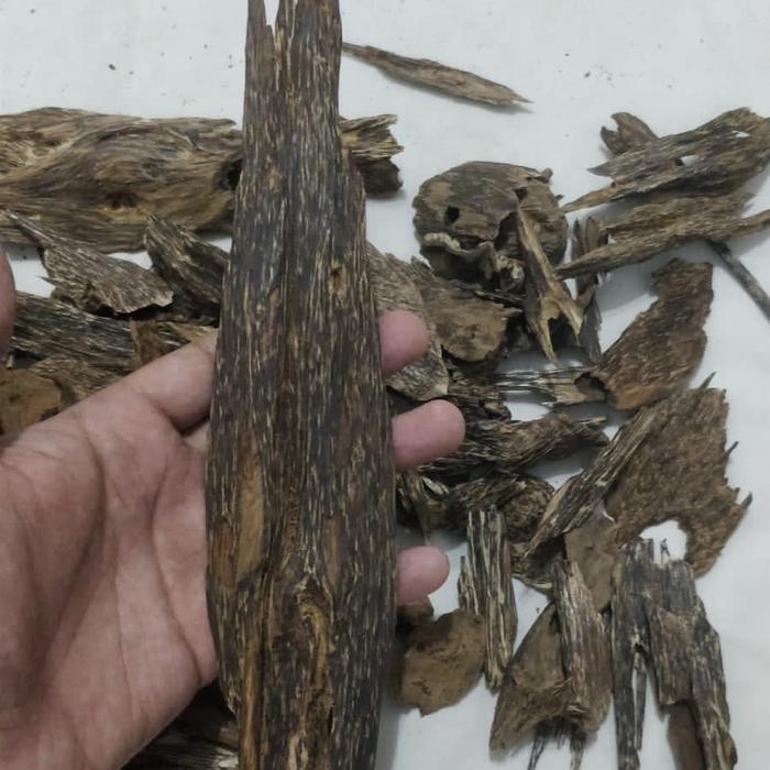 Jual Kayu gaharu asli Triple Super 500 gram - Putisibau Kalimantan ...