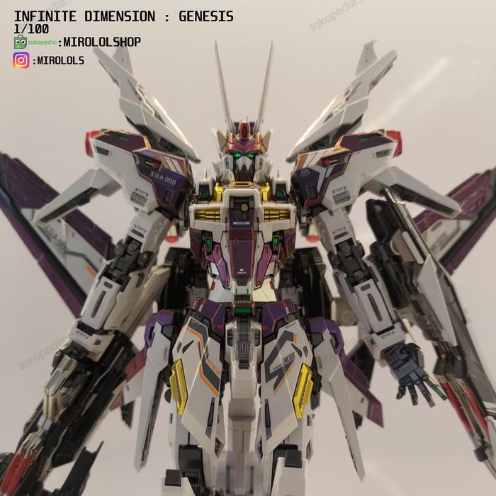 Jual MG 1/100 infinite dimension Genesis metal frame custom repaint ...