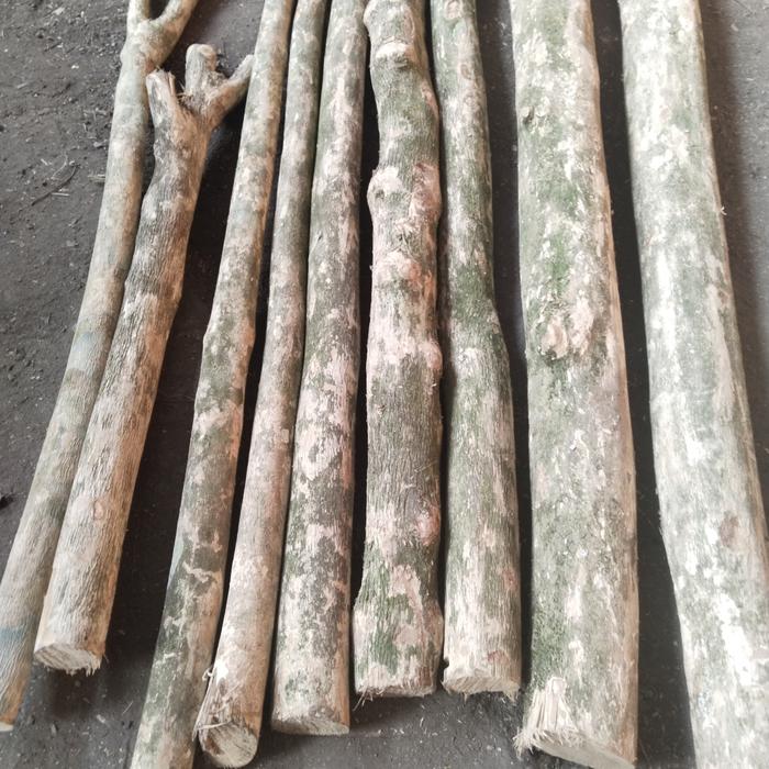 Jual batang kayu kopi 1kg - Jakarta Selatan - depot88 | Tokopedia