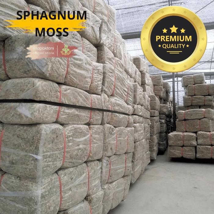 Jual Media Sphagnum Moss Premium. Media Tanam Anggrek, Baby Monstera ...