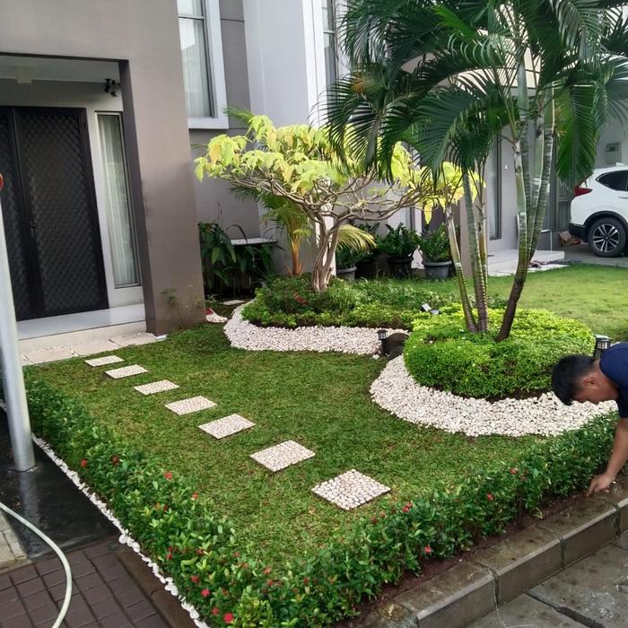 Jual pembuatan taman rumput gajah mini - Jakarta Barat - parid flower ...