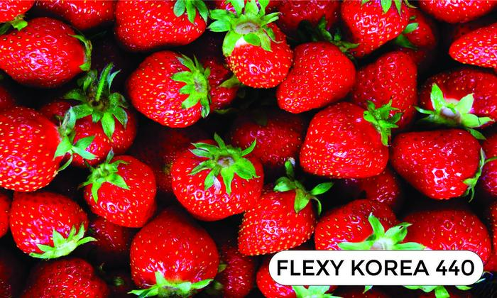 Jual CETAK BANNER / SPANDUK / BALIGHO MURAH FLEXY 280 / 440gr - 280 gsm ...