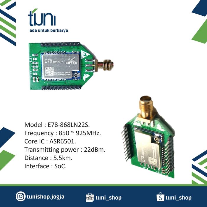 Jual LoRa Module AI Firmware General Crystal ASR6501 Ebyte E78 925MHz ...