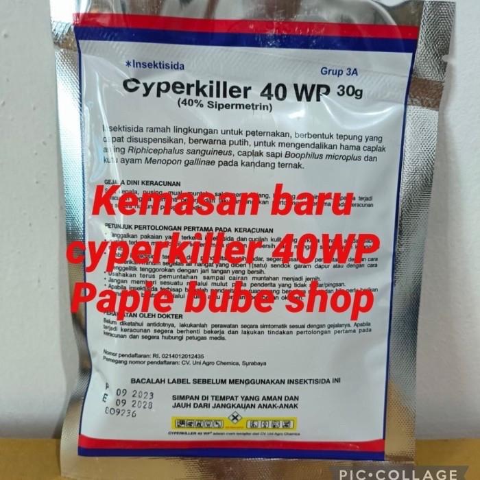 Jual Cyperkiller 25 wp obat pembasmi hama kutu serangga walet asli ...